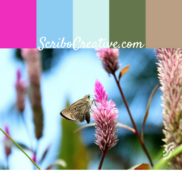 Top 10 Spring Color Palettes - Scribo Creative